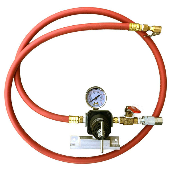 Remote Auto Tire Inflator with Regulator, Mounting Bracket, 6.5′ Hose ...